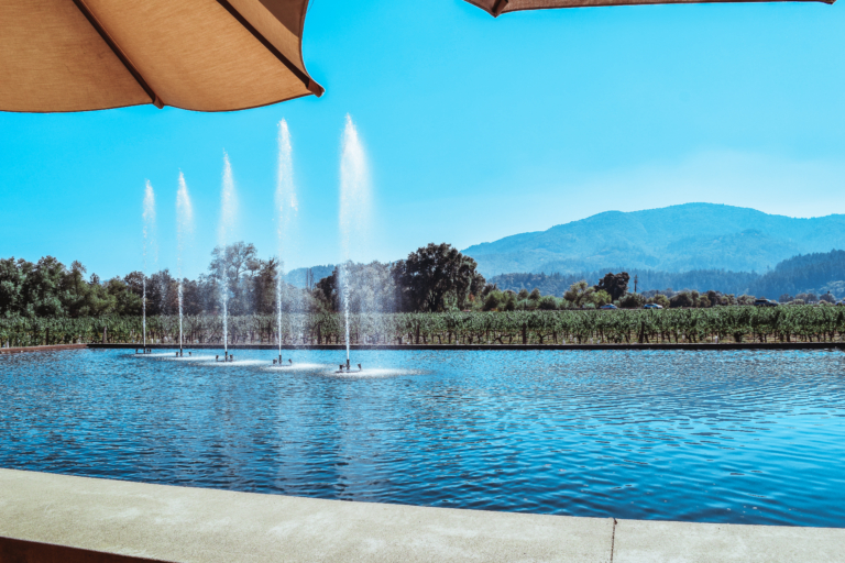 A Taste of Old and New at Alpha Omega Winery, Napa Valley • Svadore