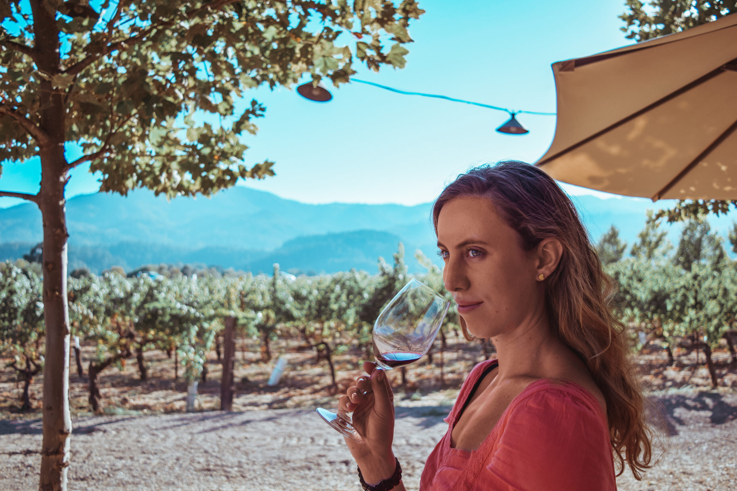 A Taste of Old and New at Alpha Omega Winery, Napa Valley • Svadore