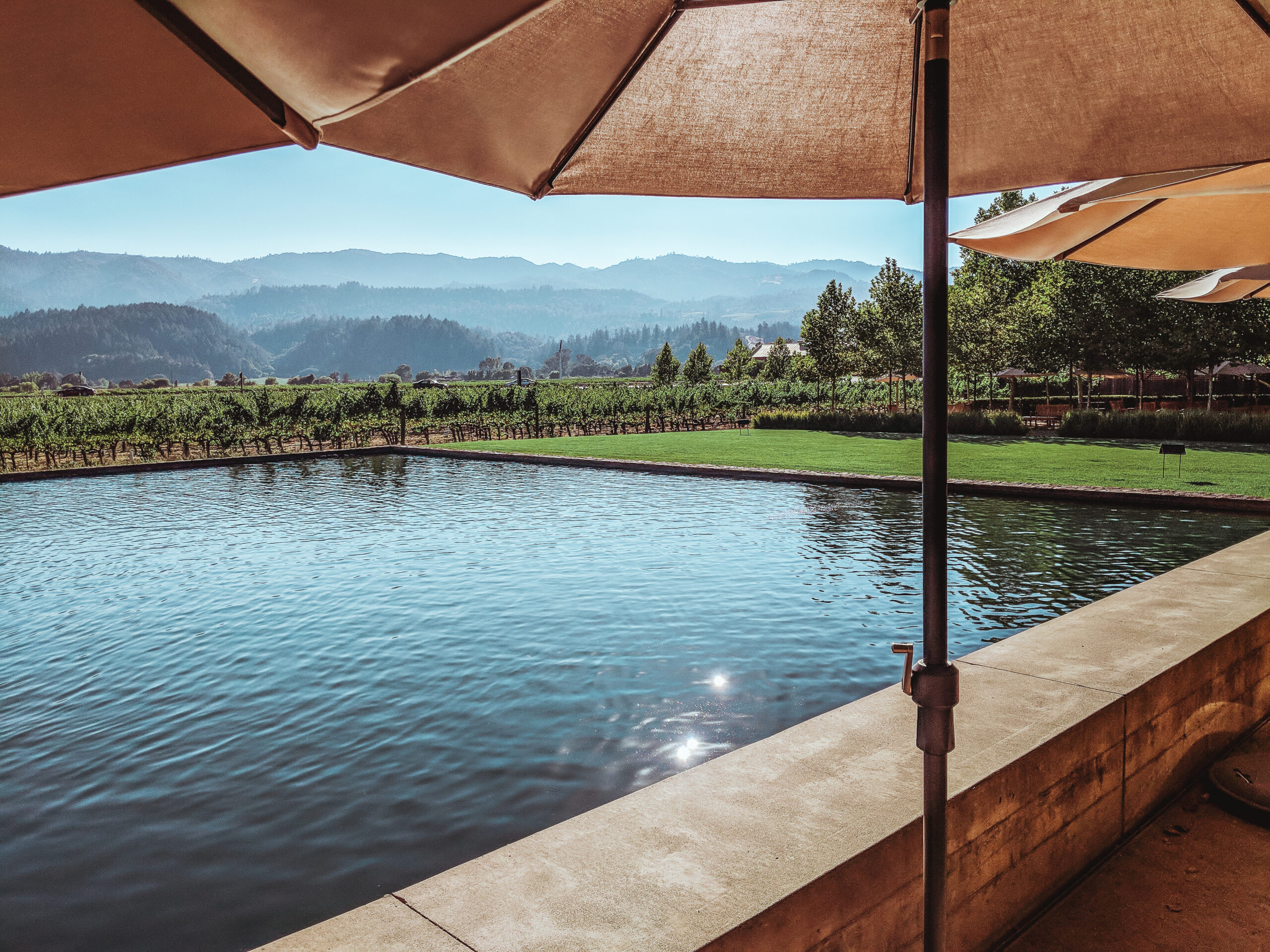 A Taste of Old and New at Alpha Omega Winery, Napa Valley • Svadore