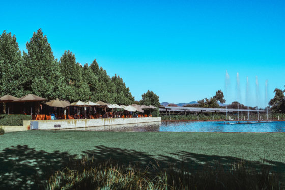 A Taste of Old and New at Alpha Omega Winery, Napa Valley • Svadore