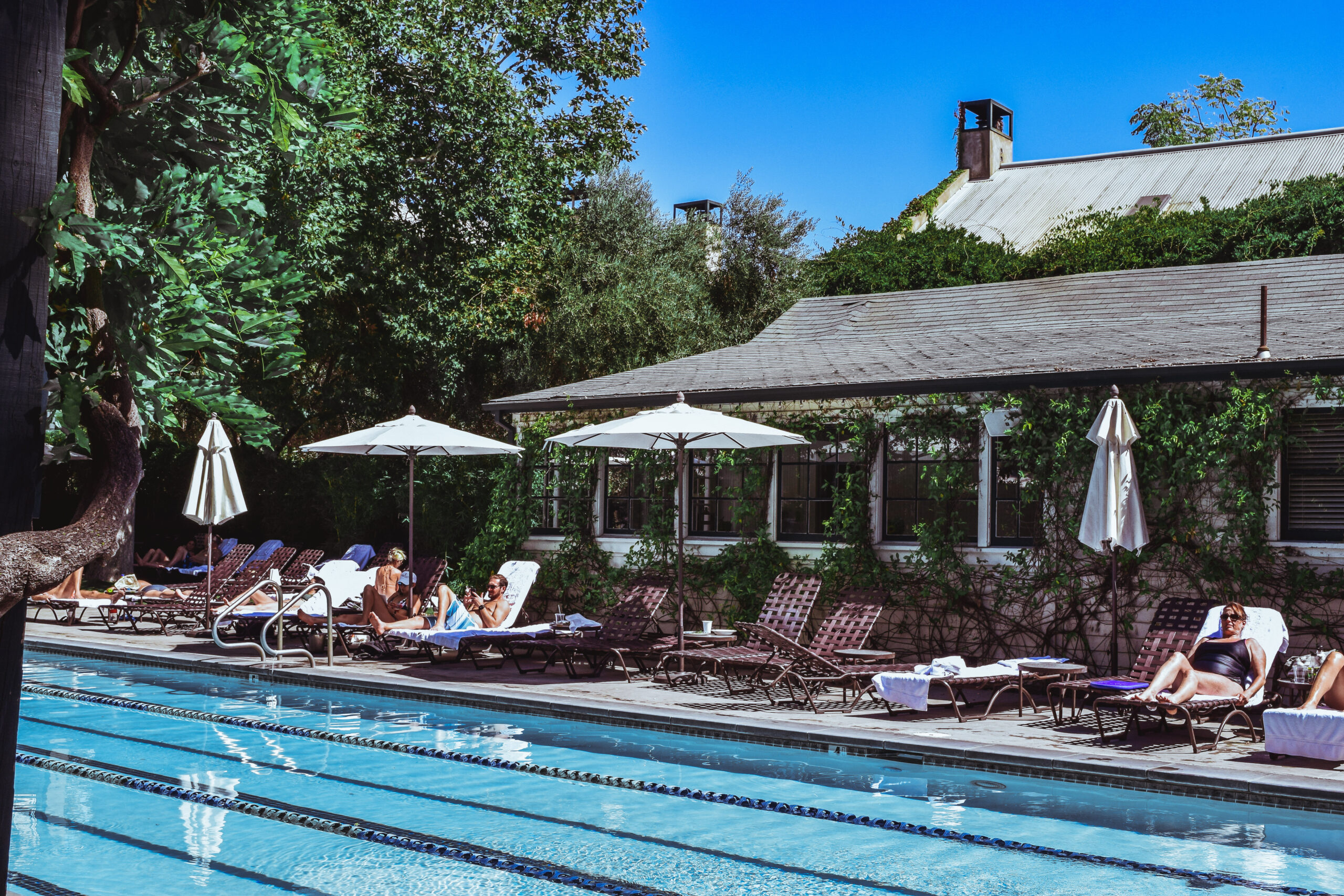 Unwind in St. Helena at Health Spa Napa Valley • Svadore