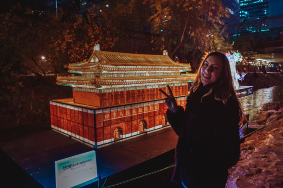 Seoul in November: 4 Day Fall Itinerary • Svadore