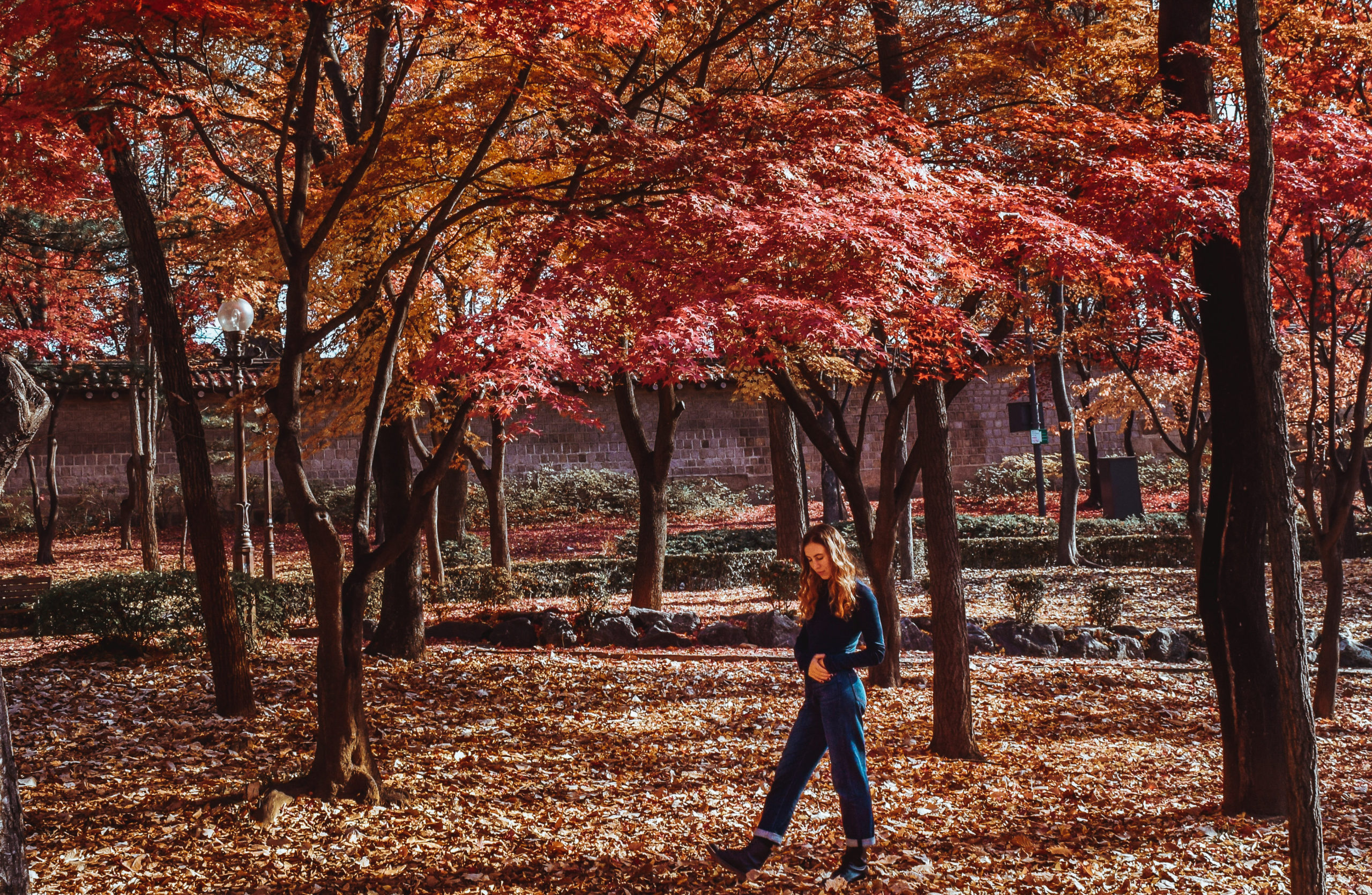 Seoul in November: 4 Day Fall Itinerary • Svadore