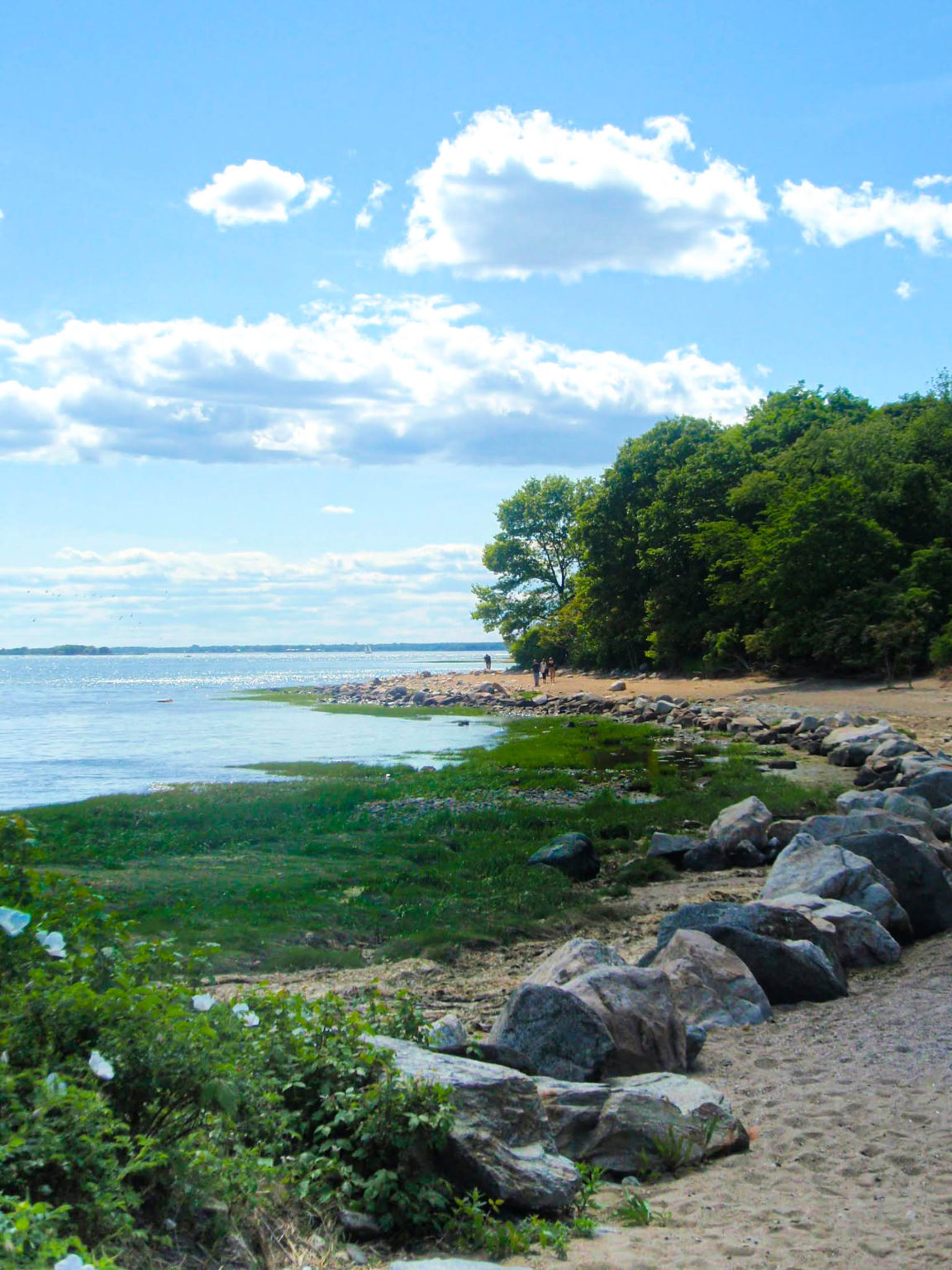 What to Do at Greenwich Point Beach, Tod's Point • SVADORE