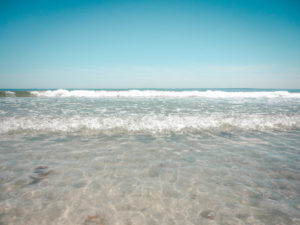 What to Do at Greenwich Point Beach, Tod's Point • Svadore