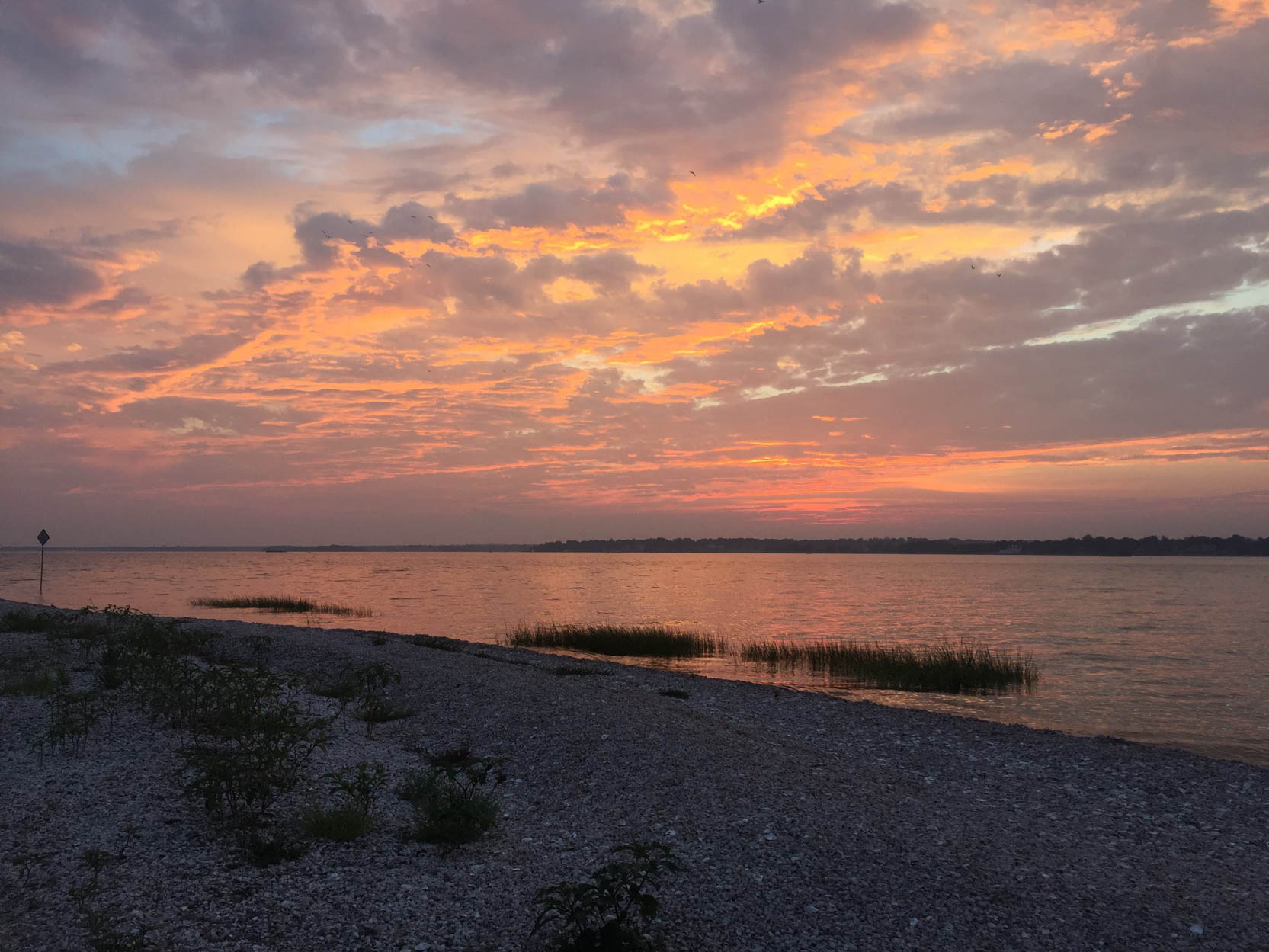 What to Do at Greenwich Point Beach, Tod's Point • SVADORE