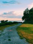 What to Do at Greenwich Point Beach, Tod's Point • SVADORE