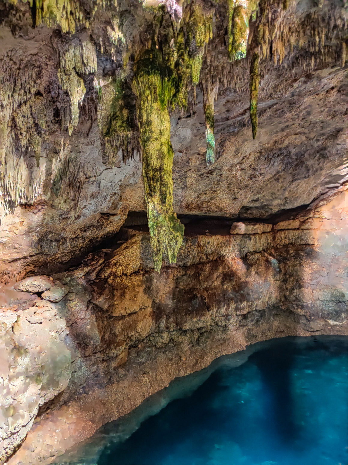What are Cenotes? Your Guide to the Yucatán Peninsula • Svadore