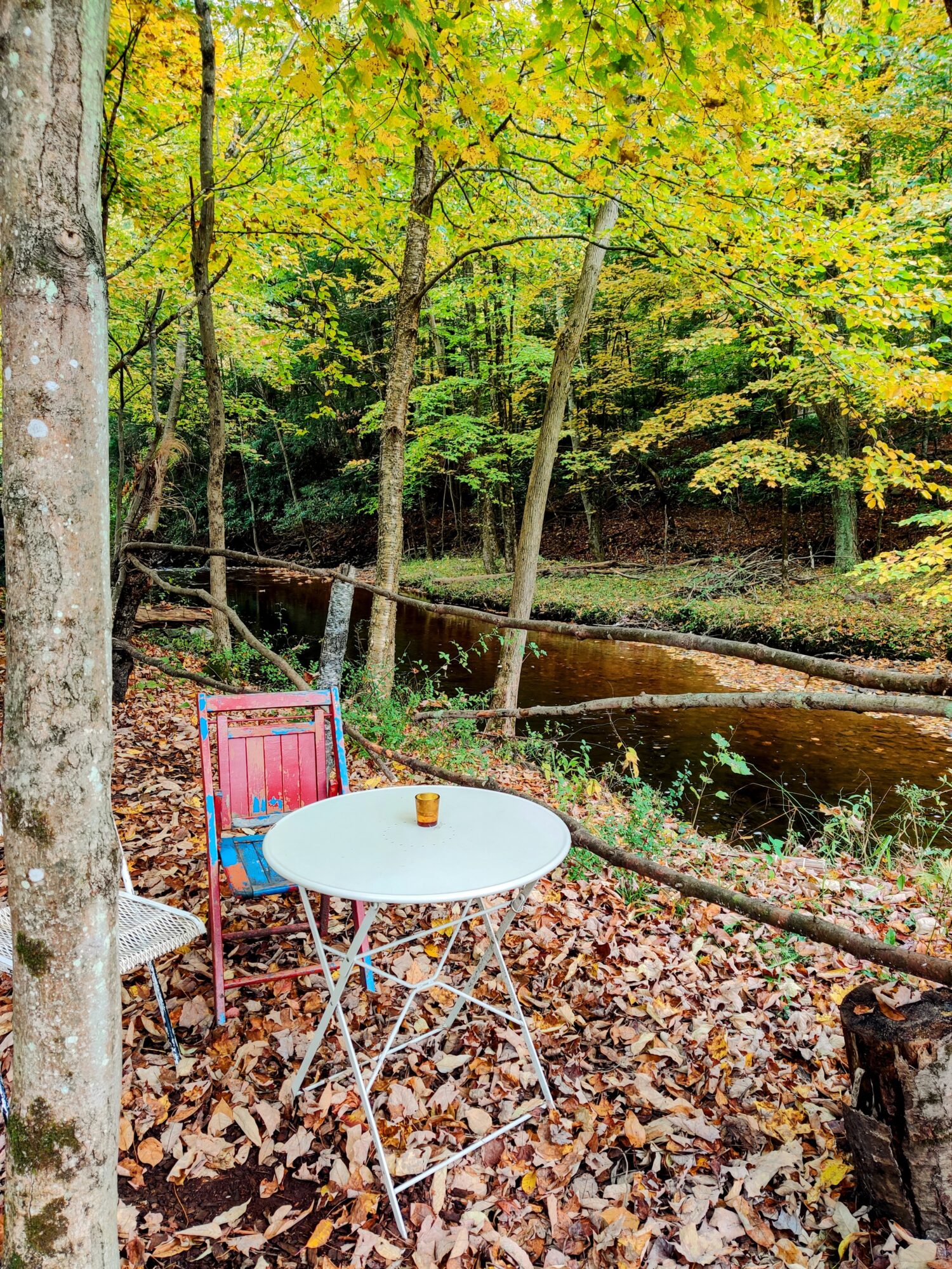 A Day in Livingston Manor, NY: Your Ultimate Guide • Svadore