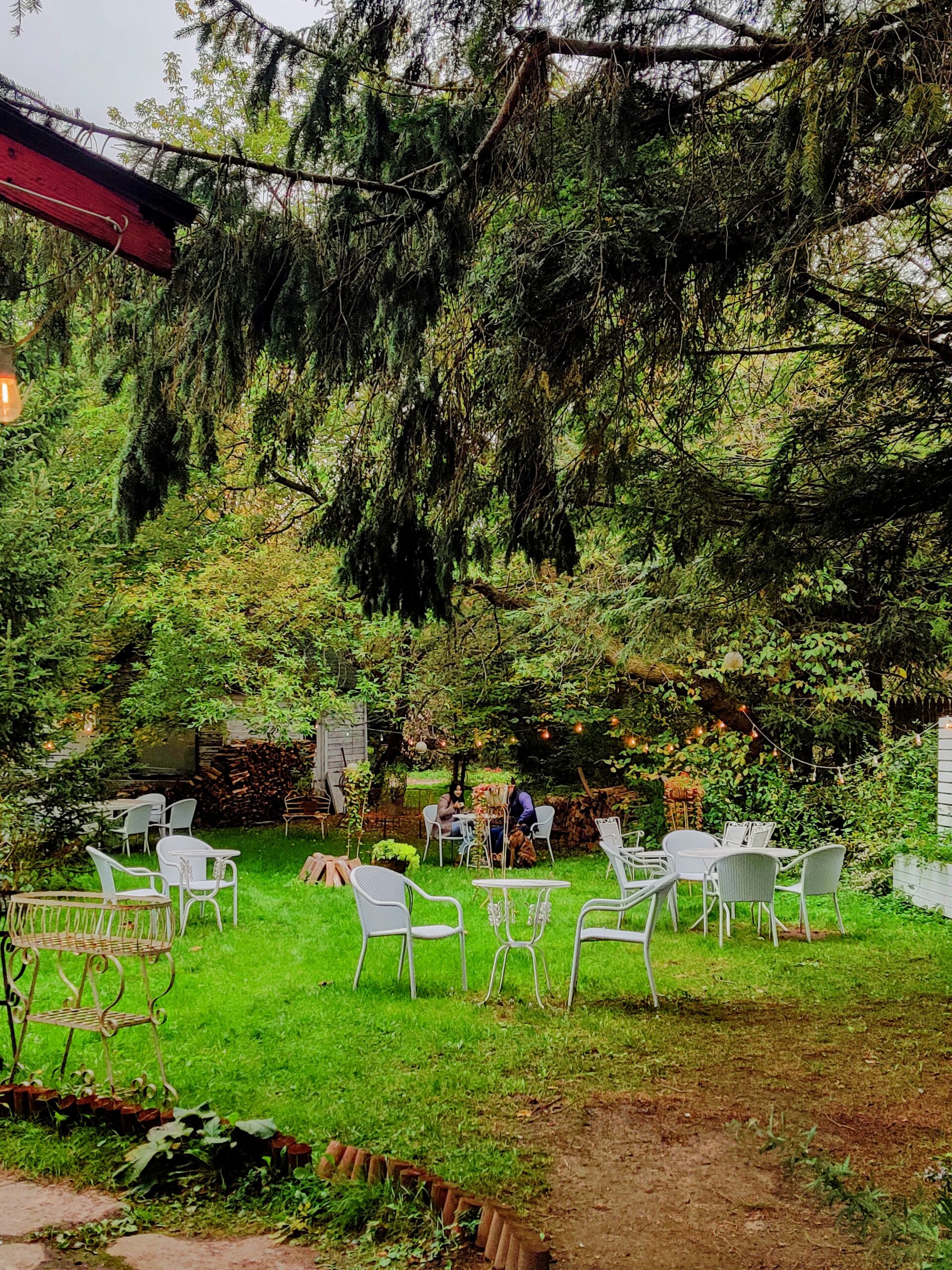 A Day in Livingston Manor, NY: Your Ultimate Guide • Svadore