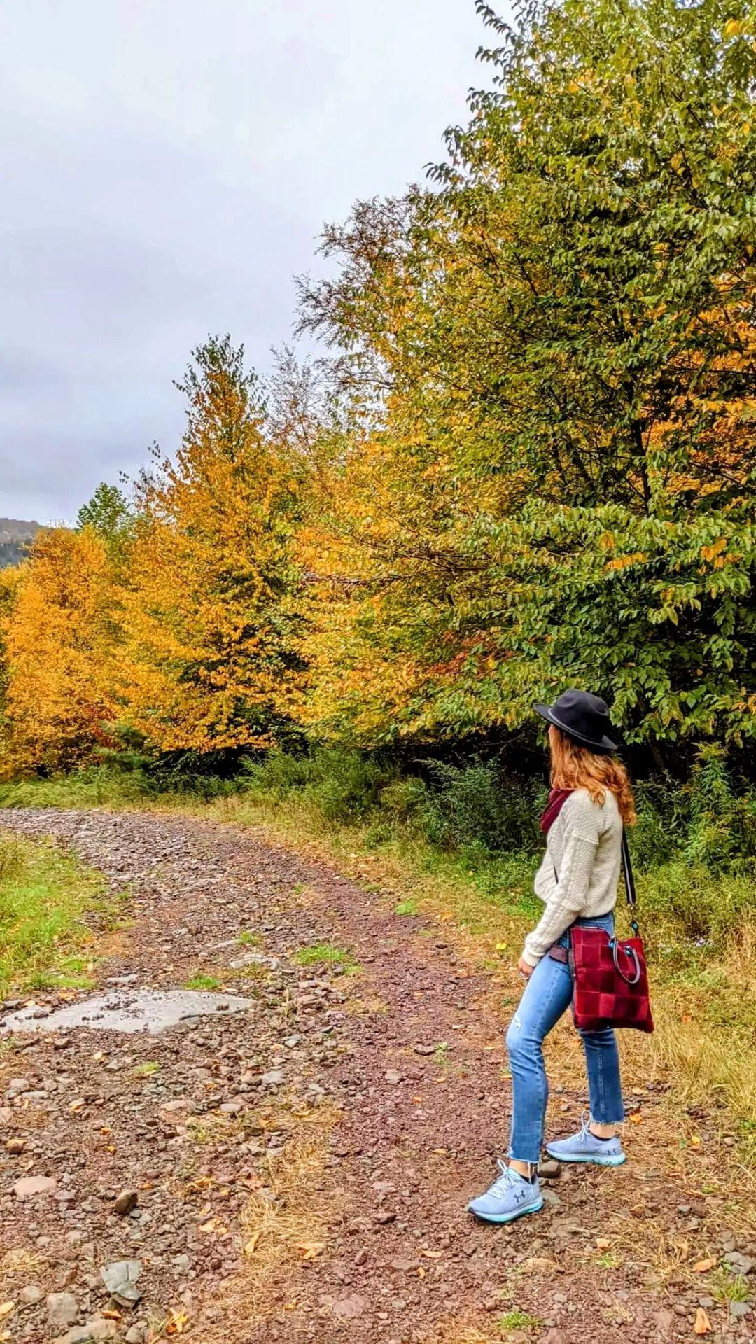 A Day in Livingston Manor, NY: Your Ultimate Guide • Svadore